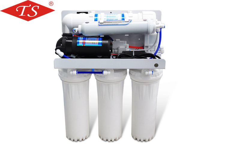 50G Auto Flushing Water Purifier System 10 Inch 5 Micron PP First Stage